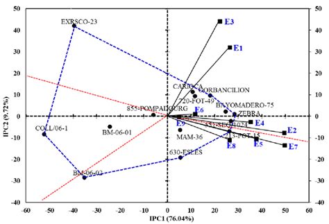 Genotype Plus Genotype × Environment Gge Biplot Obtained From Sites