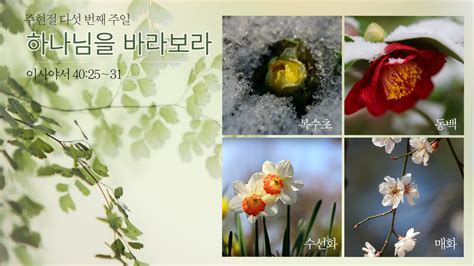 [주현절 5주] 하나님을 바라보라 Ppt음성설교포함