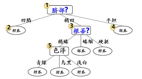 《机器学习周志华》笔记 决策树（3） 剪枝处理：预剪枝、后剪枝、预剪枝与后剪枝优缺点比较 泰初 博客园