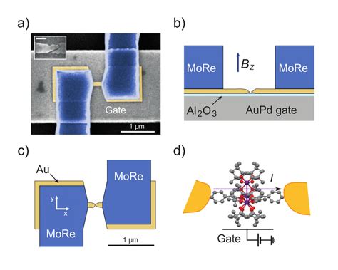1 The Three Terminal Hybrid More Au Superconducting Nanojunction A Download Scientific
