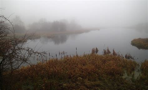 Elegy For Cassop Microscopesandmonsters