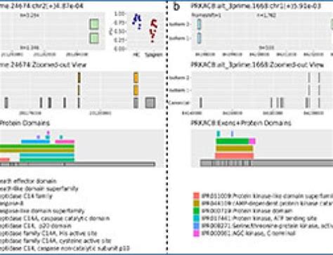 A Multi Split Mapping Algorithm For Circular Rna Splicing Trans