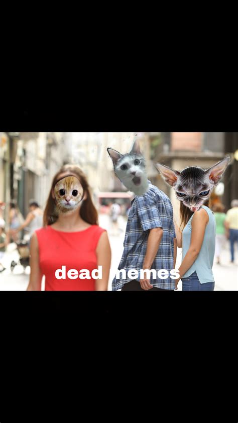 Dead Meme That Succs Noob R Photoshopbattles