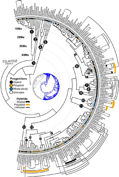 Figure 1 From The Role Of Hybridisation In The Making Of The Species