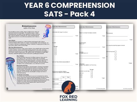 Year 6 Sats Reading Comprehension 40 Extracts With Sats Style Questions Teaching Resources