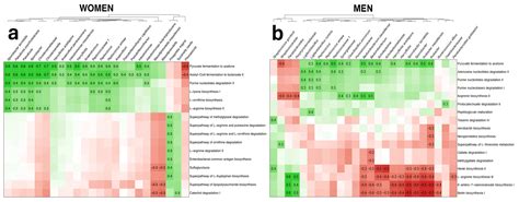 Sex Dependent Gut Microbiota Features And Functional Signatures In