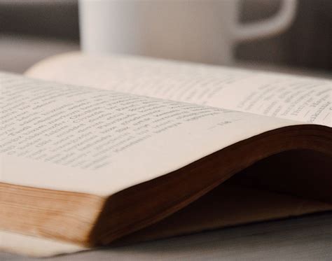 A Diversity Essay Writing Guide How To Create A Good One