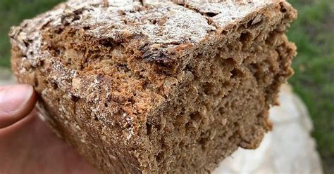 Does This Count Homemade 100 Whole Grain Rye And Spelt Bread No
