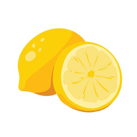 Fresh Lemon Sliced The Tropical Fruits Illustration Collection In