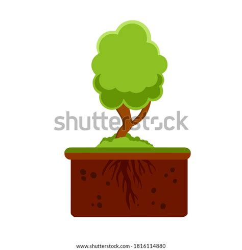 Root System Tree Layer Earth Soil Stock Vector Royalty Free 1816114880 Shutterstock