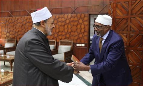 شيخ الأزهر يستقبل رئيس مجمع علماء الصومال لبحث سبل تعزيز التعاون