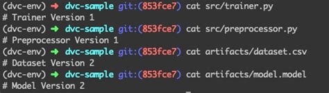 Version Control For Data Science Tracking Machine Learning Models And