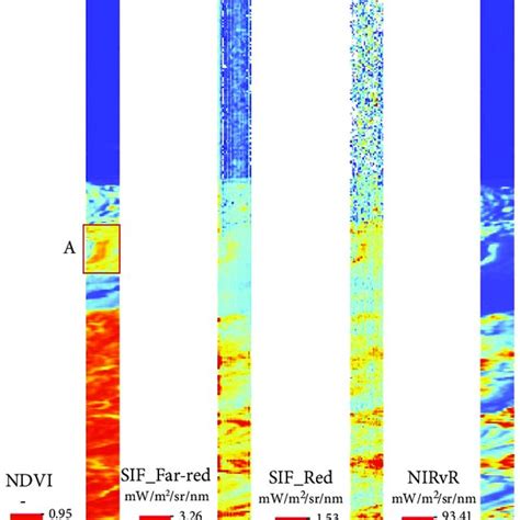 Spatial Distribution Of Ndvi Nirvr And Sif Retrieval At The Nir And
