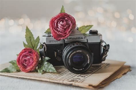 Nikon 카메라 렌즈의 클로즈업 촬영 · 무료 스톡 사진