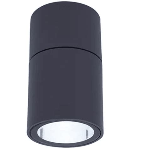 Cheap Surface Mounted Down Lamp Ceiling Outdoor Ceiling Light