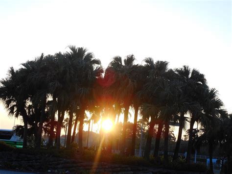 宮崎の夕日 rinkoのブログ ふわふわふわりん