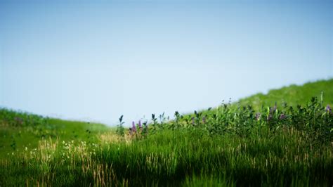 Free Stock Video Field Of Green Fresh Grass Under Blue Sky