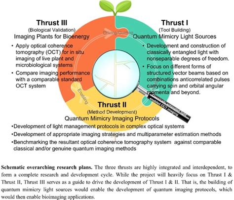 Development Of Classically Entangled Light For Depth Resolved Quantum Mimicry Bioimaging