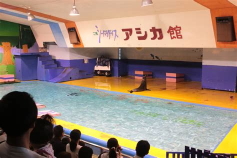 個別 水族館 二見シーパラダイス の写真画像 二見シーパラ hms ulysses s fotolife
