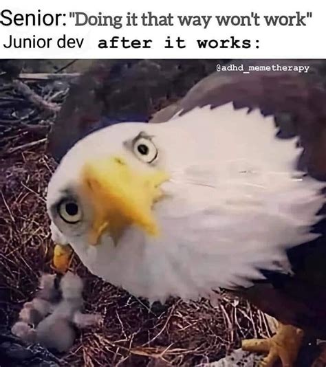 Swissdevjobs On Linkedin Getting Stuff To Work Is The Easy Part