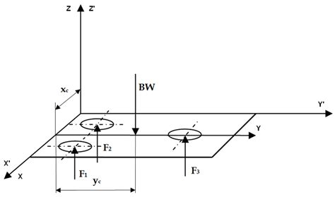 Arrangement Of The Dynamometers Download Scientific Diagram