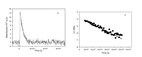 A Transient Absorption Decay Of The Benzophenone Triplet State λ Obs