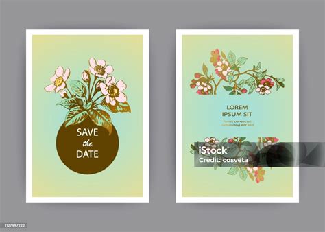 식물 결혼식 초대 카드 템플릿 디자인 손으로 그린 사쿠라 꽃과 나뭇잎 가지 파스텔 컬러 빈티지 원형 골드 프레임 녹색 배경 복고풍 스타일 벡터 일러스트 레이 션 시골