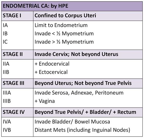 Endometrial Disorder Adalah Best Home Design Ideas