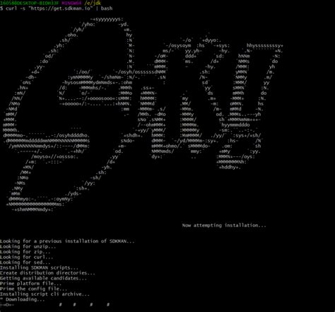 用sdkman管理多个jdk切换 Chaiwangbing32 博客园