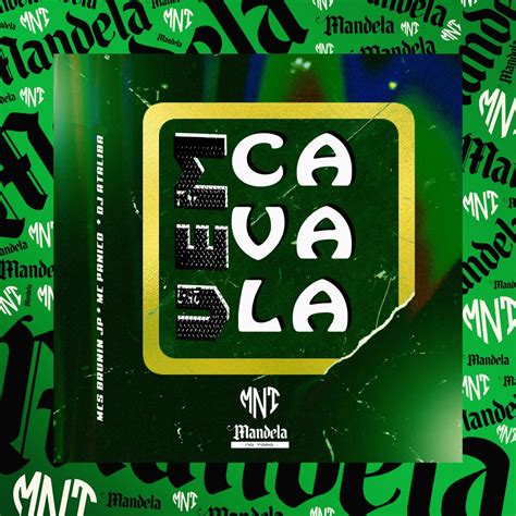 ‎vem Cavala Feat Mc Brunin Jp And Mc Pânico Single Album By Dj