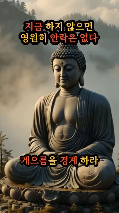 지금 하지 않으면 영원히 안락은 없다 명언부처님말씀 부처님명언부처님의가르침 마음의소리로쓰는글 긍정적마인드 인생조언 Youtube