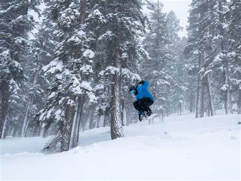 Devon Spinnler Townsend Devonspinnler • Instagram Photos And Videos