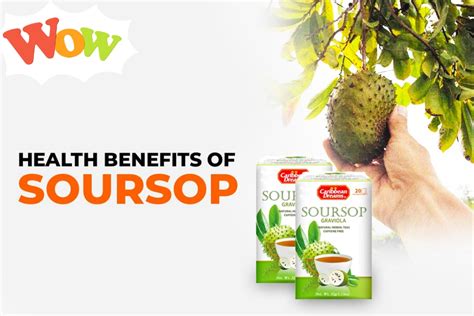 Soursop And Its Health Benefits