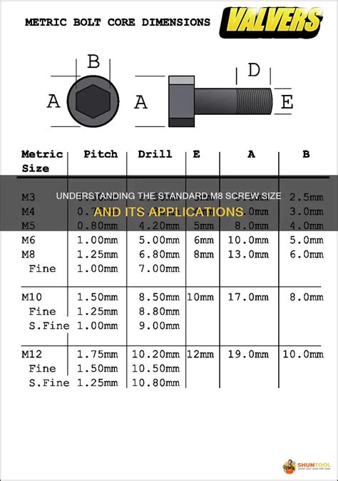 Understanding The Standard M8 Screw Size And Its Applications Shuntool