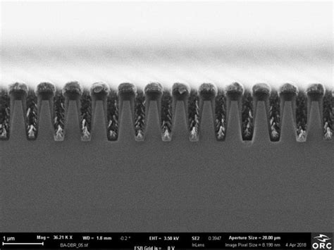 Scanning Electron Microscope Image Of The Grating Cross Section