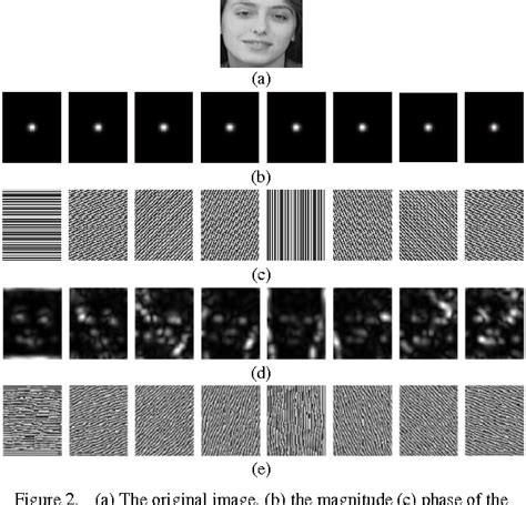 figure 2 from wavelet transform based face recognition using surf