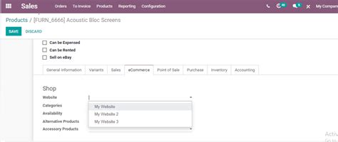 How To Use Multi Websites In Odoo