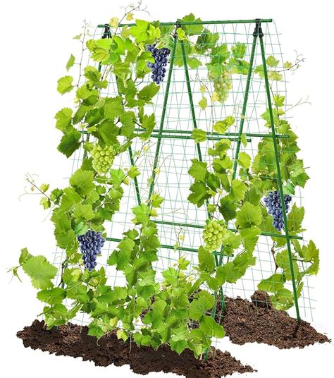 Garten Rankhilfe für Kletterpflanzen im Freien stabile Metall