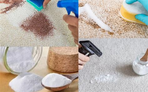 Carpetshop Blog Tips Bersihkan Karpet Tanpa Perlu Pakai Banyak Air