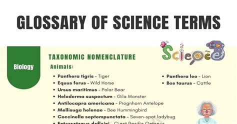 science terms science words scientific terminology 7esl