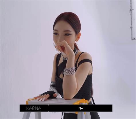 3행시 장인 카리나 연예이슈 수다방 네모판