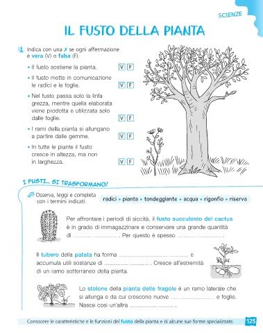 Page 127 Missione Matematica Per Approfondire