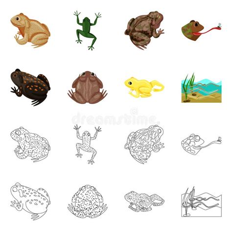 Vector Illustration Of Wildlife And Bog Icon Collection Of Wildlife