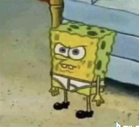Spongebob Pfp Spongebob Spongebob Funny Spongebob Pics