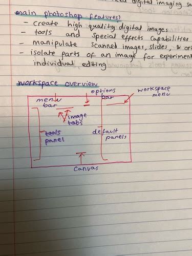 Task Flashcards Quizlet