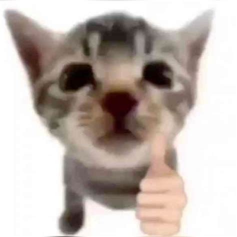 Silly Cat Thumbs Up