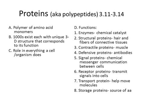Monomers Of Polypeptides