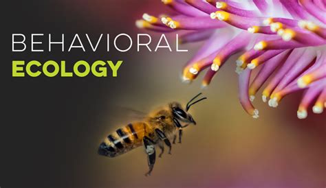 Behavioral Ecology
