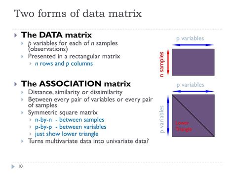 PPT Exploratory Data Analysis And Multivariate Strategies PowerPoint Presentation ID 2002957