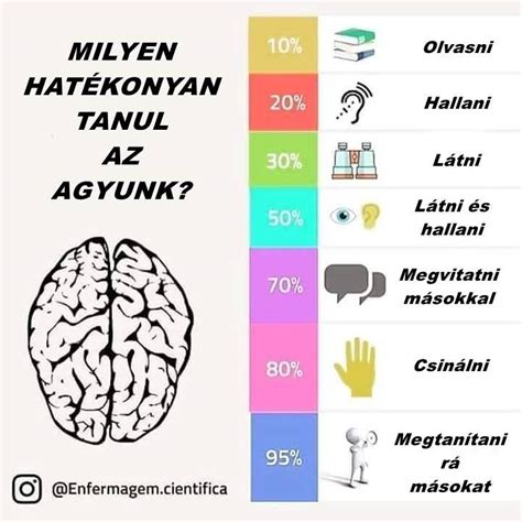 Social Cognitive Theory By Albert Bandura Artofit